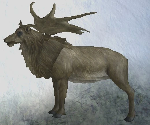 Elk | The Northern Frontier Wiki | Fandom