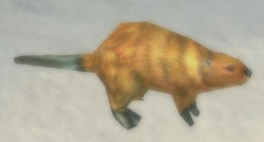 Beaver | The Northern Frontier Wiki | Fandom