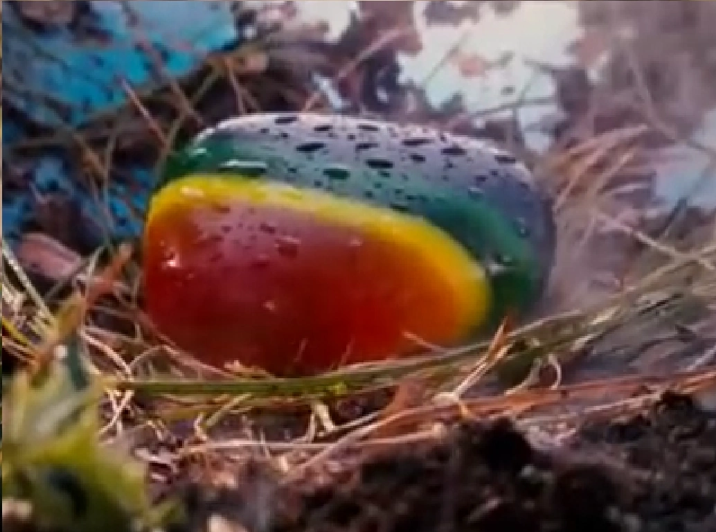 Wishing Rock | The Nut Job Great Adventures Wiki | Fandom