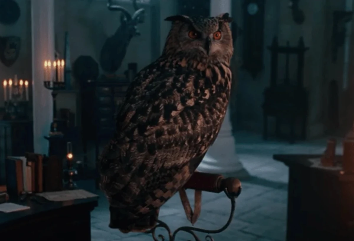Owl | The Nutcracker and the Four Realms Wiki | Fandom