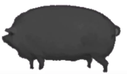 Crazy Pete | The Oats Wiki | Fandom