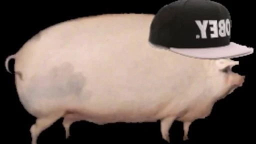 Porkchop the Rapper | The Oats Wiki | Fandom