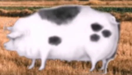 Cow (character) | The Oats Wiki | Fandom