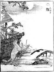 Bake-danuki | The Occult Wikia | Fandom