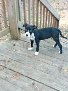 Jinx | The Odyssey Dnd Wiki | Fandom