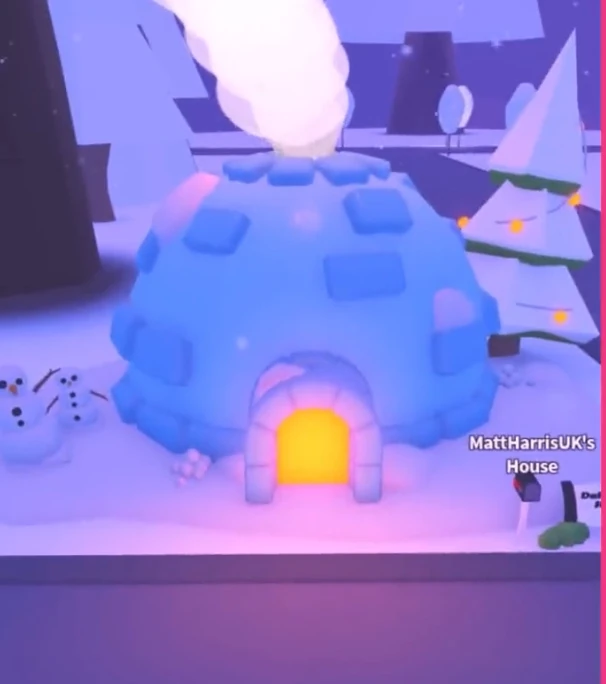 Igloo Home | The Official Adopt Me Home Designer & Decorating Wiki | Fandom