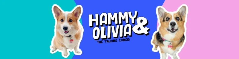The Official Hammy And Olivia Encyclopedia Wiki | Fandom