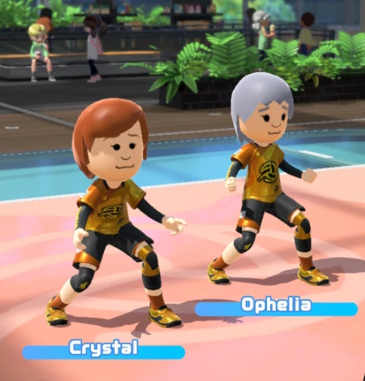 Volleyball | Mii Sports International's Wiki | Fandom