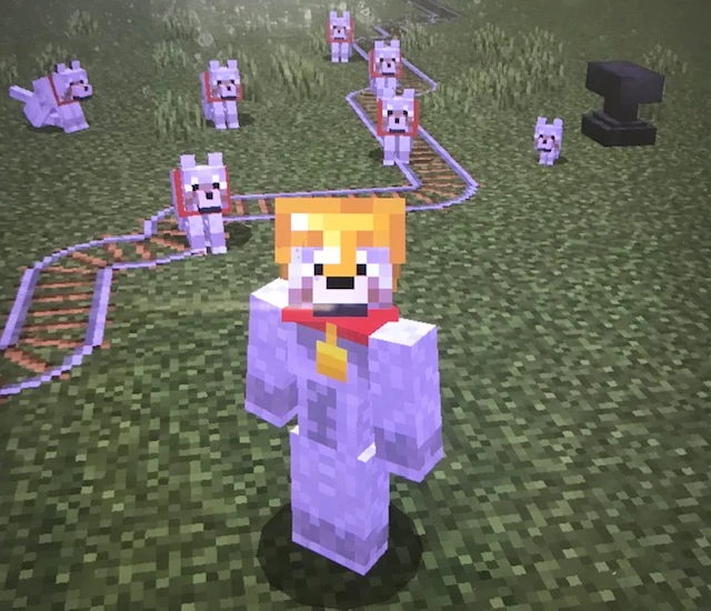 The Boat/Village adventure | The official Minecraft DOGS Wiki | Fandom