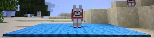 Blue Carpet | The official Minecraft DOGS Wiki | Fandom