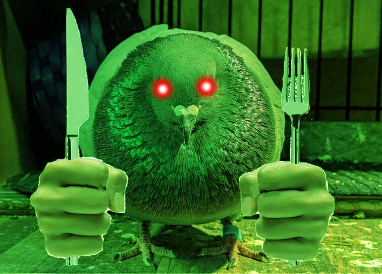 Zombie Pingeon | The Official Pingeon Wiki | Fandom