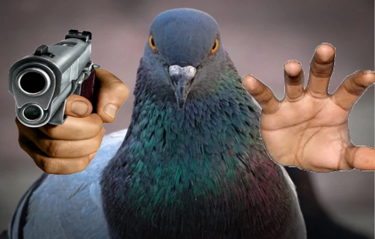 Pingeon Mark 2 | The Official Pingeon Wiki | Fandom