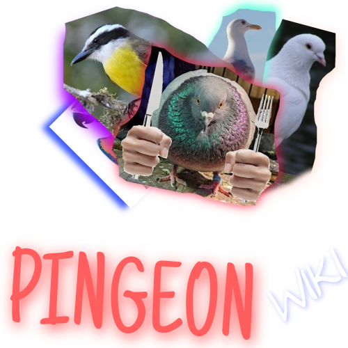 The Official Pingeon Wiki | Fandom