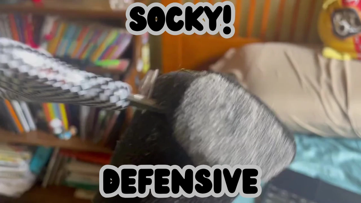 Defensive | The Official Socky Wiki | Fandom