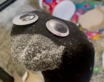 Socky | The Official Socky Wiki | Fandom