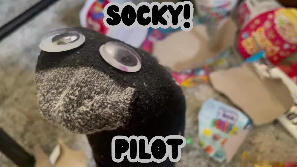 Pilot | The Official Socky Wiki | Fandom