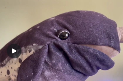 News Reporter Ned | The Official Socky Wiki | Fandom