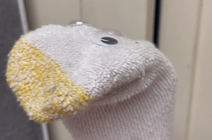 Duncan | The Official Socky Wiki | Fandom