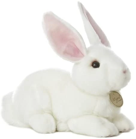 The Magical Wish Rabbit | The Official Starshine Carly Wiki | Fandom