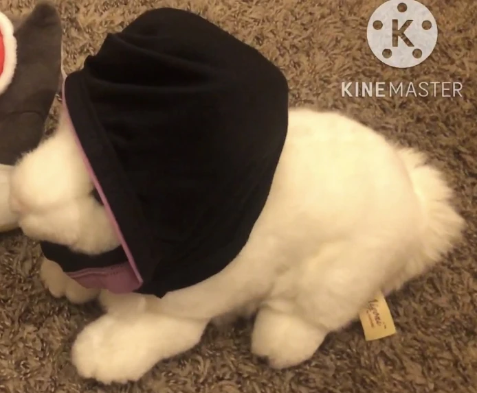 Assoud | The Official Starshine Carly Wiki | Fandom