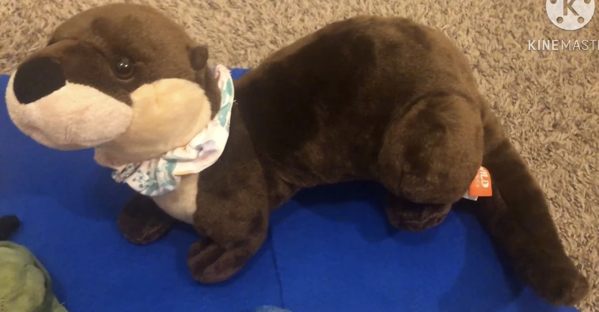 Starship Otter | The Official Starshine Carly Wiki | Fandom