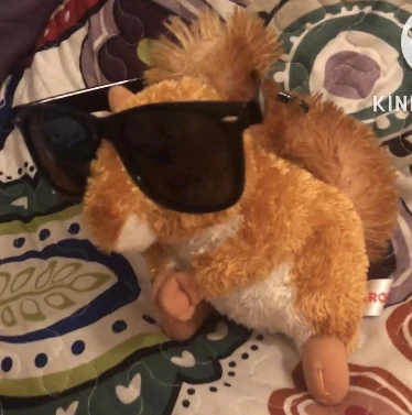 Officer Squirrel | The Official Starshine Carly Wiki | Fandom