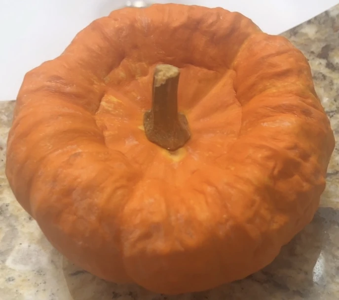 Lil Pumpkin | The Official Starshine Carly Wiki | Fandom