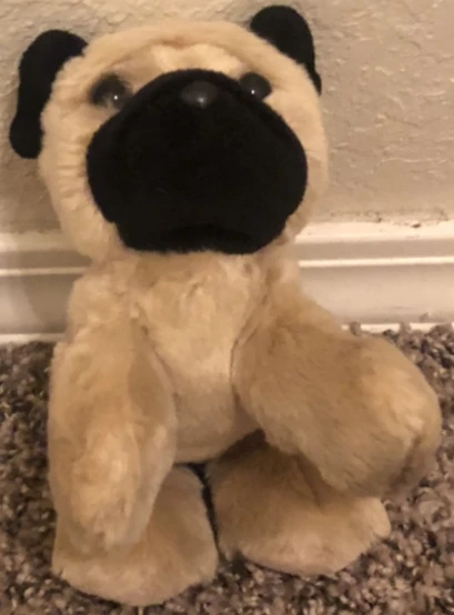 Piji Pug | The Official Starshine Carly Wiki | Fandom