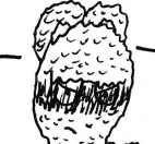 Theodore Francis Bear | The Official Universe Wiki | Fandom