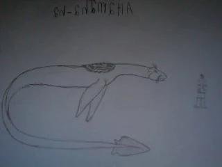 Altamaha-ha | The Official Guide to Monsters Wiki | Fandom