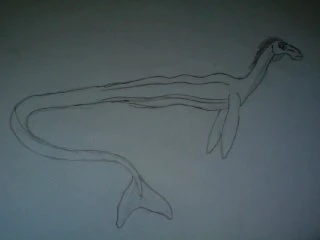 Cadborosaurus | The Official Guide to Monsters Wiki | Fandom