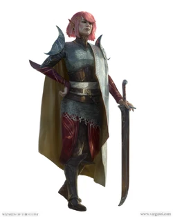 Astral Elf | The Old Realm Wiki | Fandom