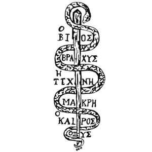 Aspis | The Old World Wiki | Fandom