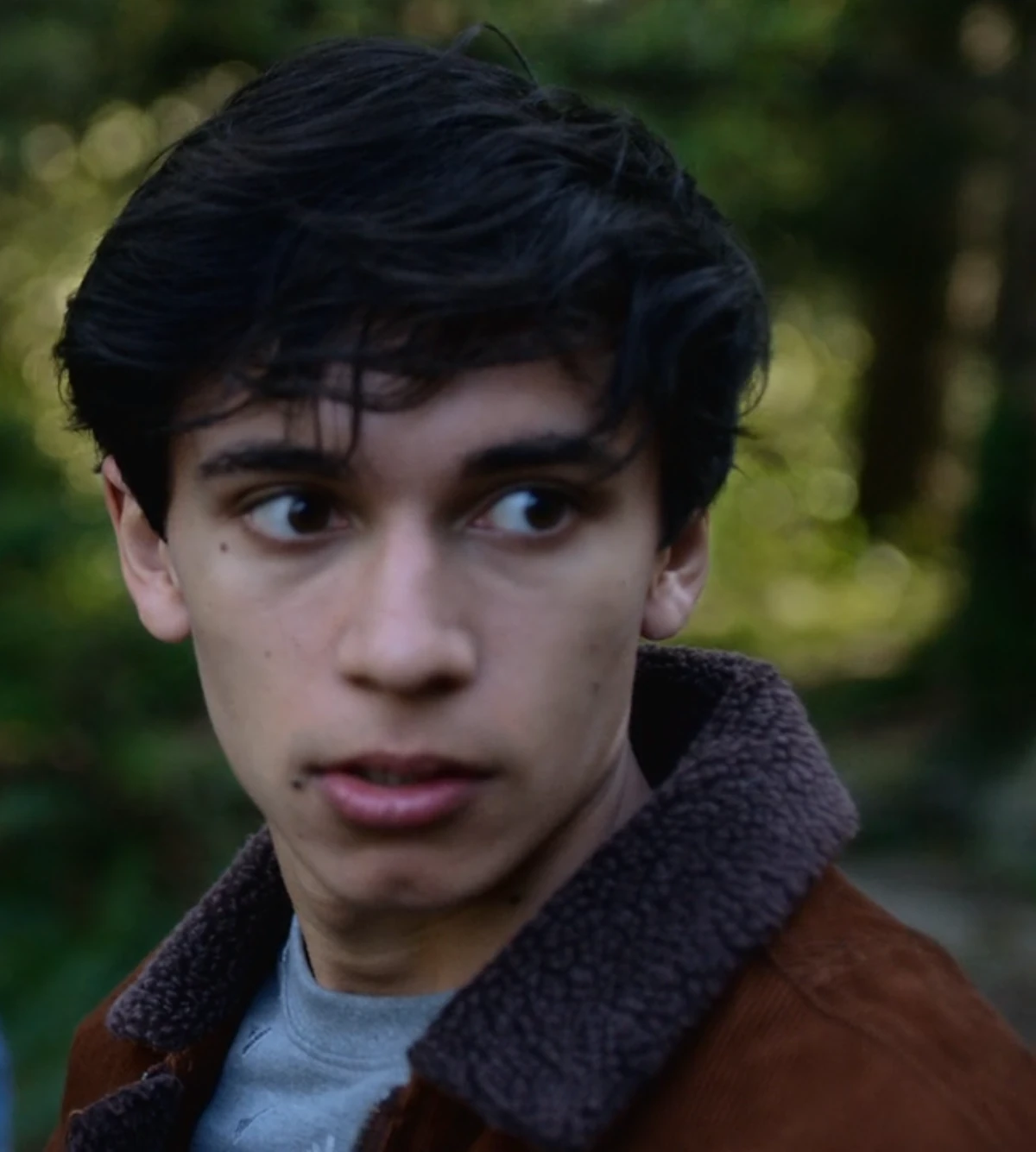 Amir | The Order Wiki | Fandom