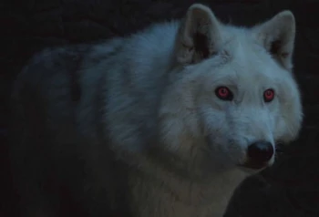 Hope Mikaelson (VBW) | The Originals Fanfiction Wiki | Fandom