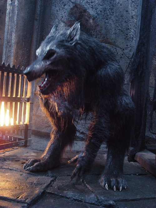 Primordius Werewolves | The Originals Fanfiction Wiki | Fandom