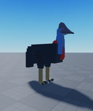Southern Cassowary | The Oscar Central Wiki | Fandom