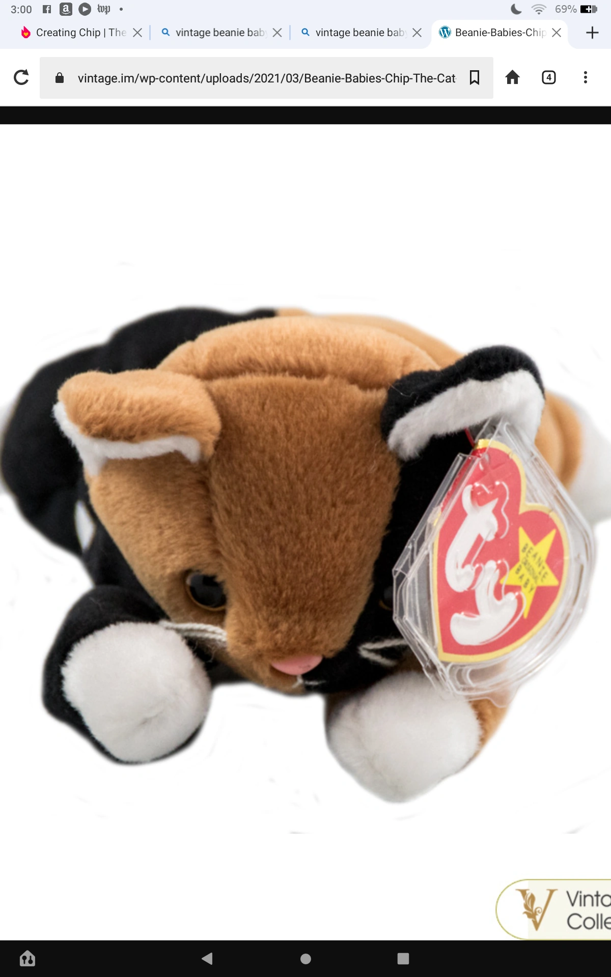 Chip | The Oscar Family Wiki | Fandom