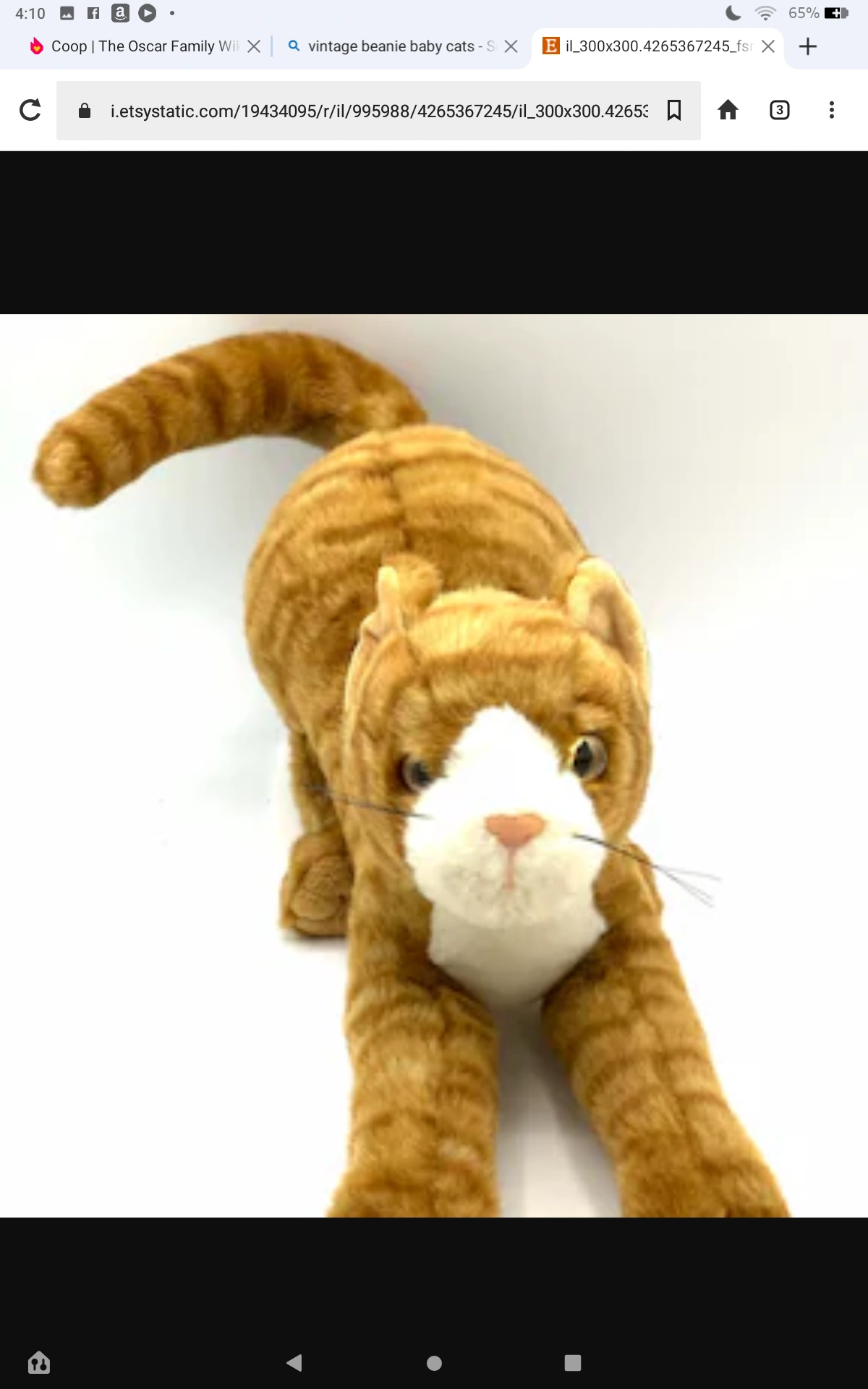 Ashla | The Oscar Family Wiki | Fandom