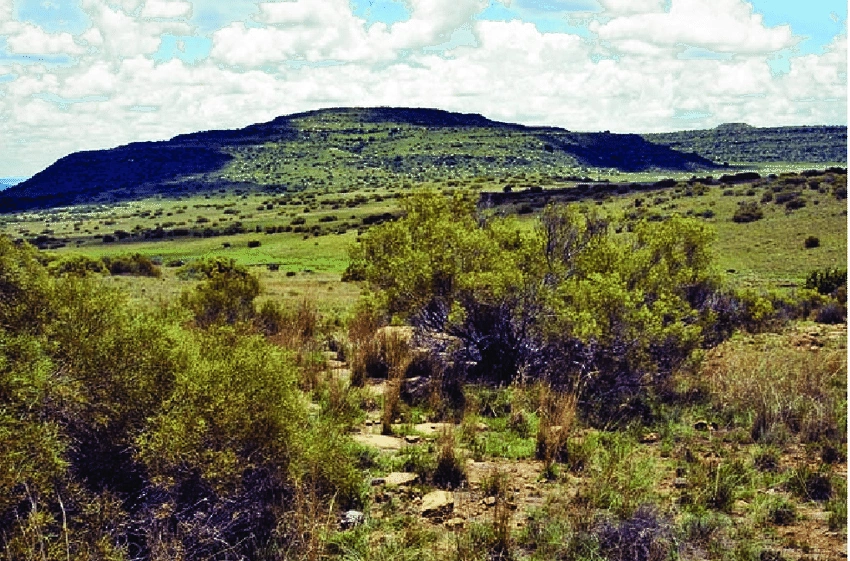 Plane 1 | The Other Space Wiki | Fandom