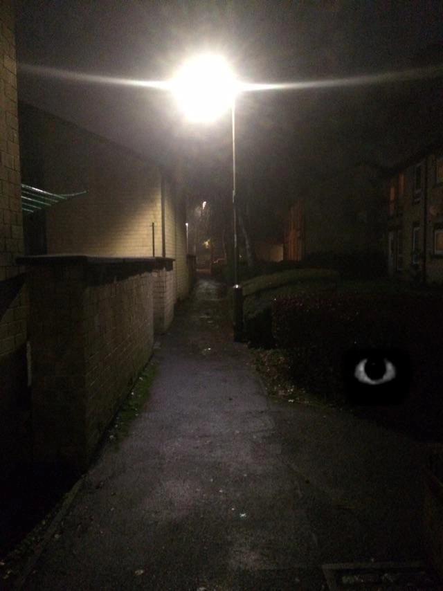 Cursed Entity | The Other Space Wiki | Fandom