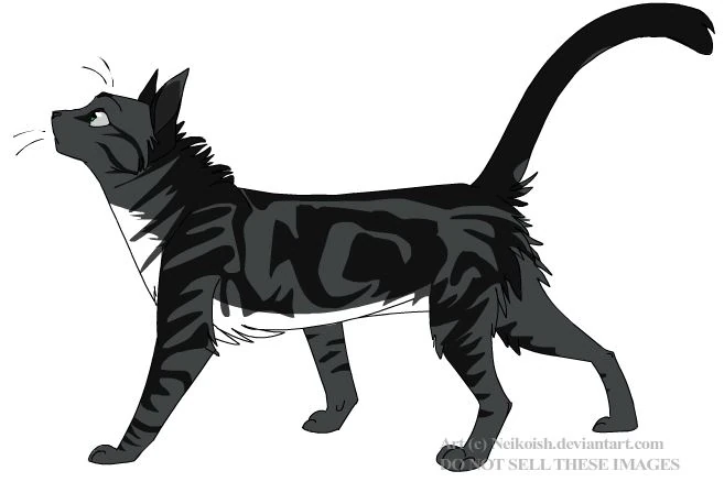 Ashpaw | The Other Warriors Wikia | Fandom