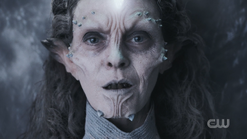 Vorta | The Outpost Wiki | Fandom