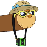 Hooty/Designs | The Owl House Wiki | Fandom