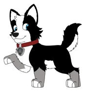 Shadow | The Owl PAW Patrol House Wiki | Fandom