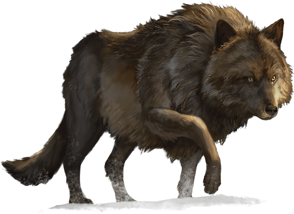 Tikka Masala the Dire Wolf | The Oxventure Guild Wiki | Fandom