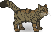 Merilwen | The Oxventure Guild Wiki | Fandom