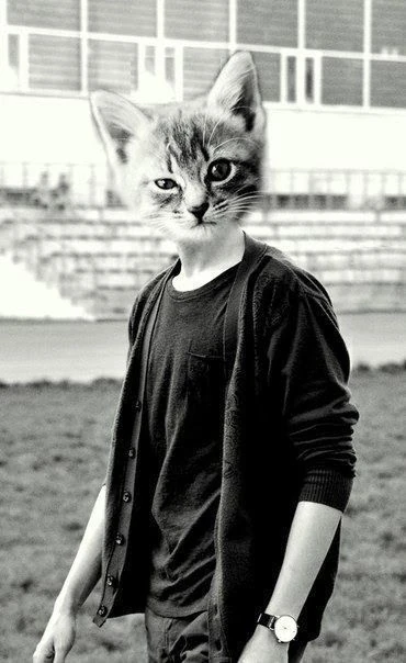 Entity 4:The Prowler | The Paris Basins Wiki | Fandom