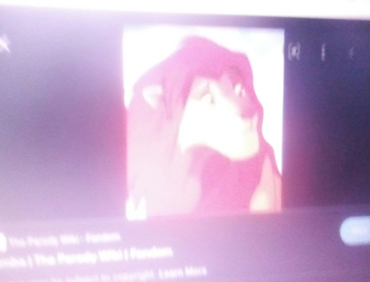 Simba and Friends (CoolZDane Version) | The Parody Wiki | Fandom