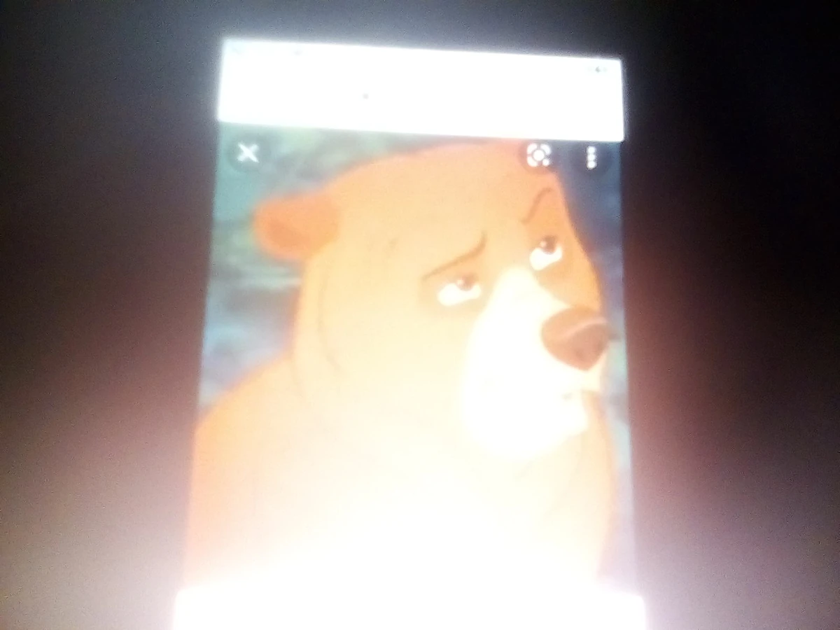 Kenaito II: Bear Quest | The Parody Wiki | Fandom